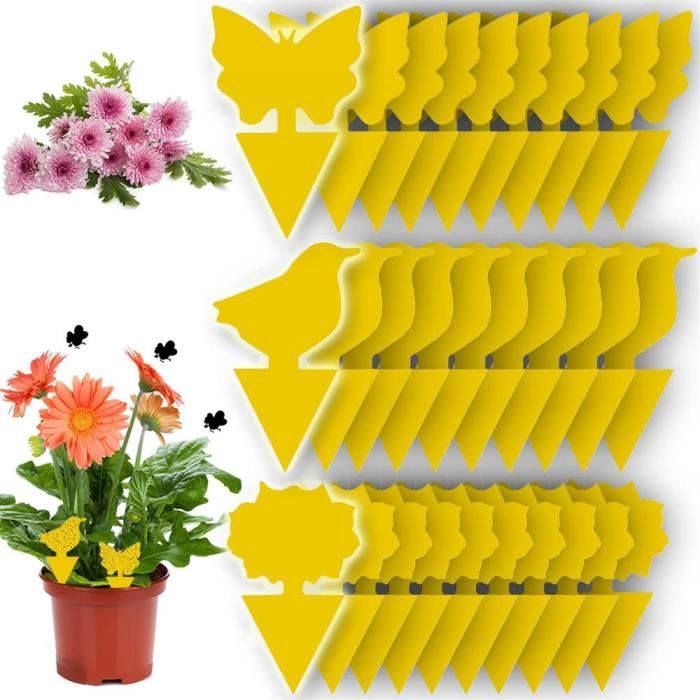 Piège Insectes, 60 Pièces Anti Moucherons Interieur, Attrape Moucheron ...