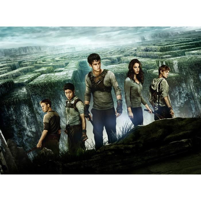PBHE-213 The Maze Runner，3D Diy Digital Numbering Diamond Painting Kit ...