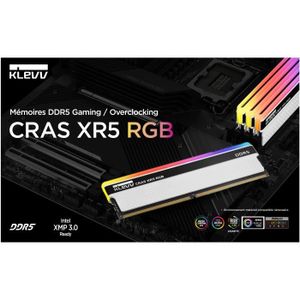 RAM | Mémoire vive PC | Cdiscount Informatique