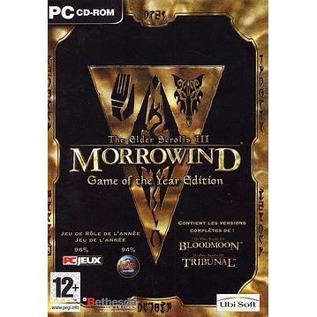 MORROWIND Game of the Year Edition - Cdiscount Jeux vidéo