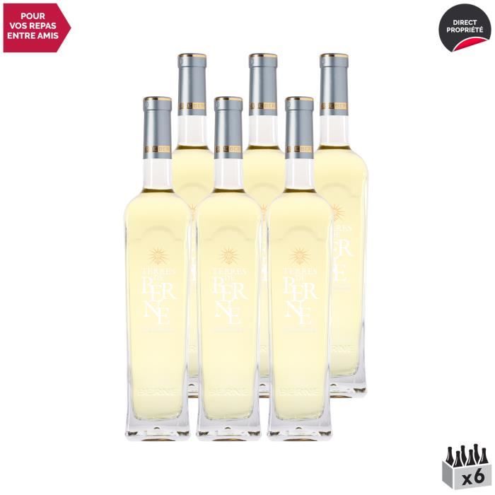 Côtes de Provence Terres de Berne Blanc 2019 - Lot de 6x75cl - Berne ...