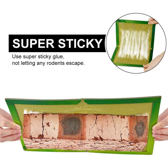 Piege a Souris Rat Colle Collant 22 Pièces Pièges à Souris Attrape Anti ...