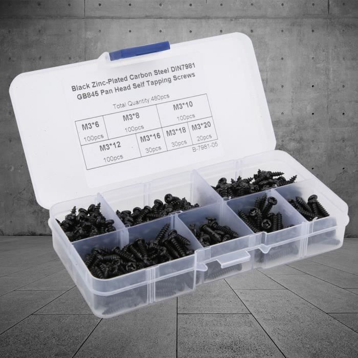 Vis autotaraudeuse - GAROSA - M3 - Acier au carbone - Noir/Nickelé - 480 pièces - Cdiscount Auto