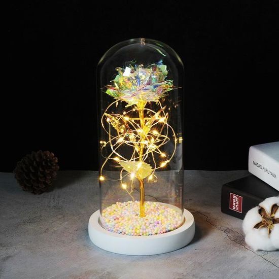 Rose éternelle fleur beauté et bête Rose éternelle en verre dôme LED ...