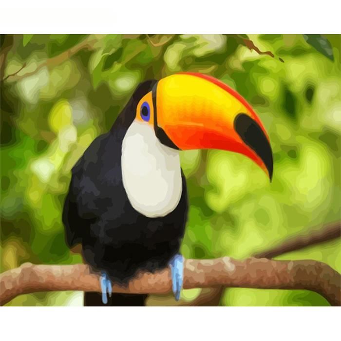 Toucan Kit de peinture acrylique DIY pour adultes, 16 x 20 pouces (sans ...