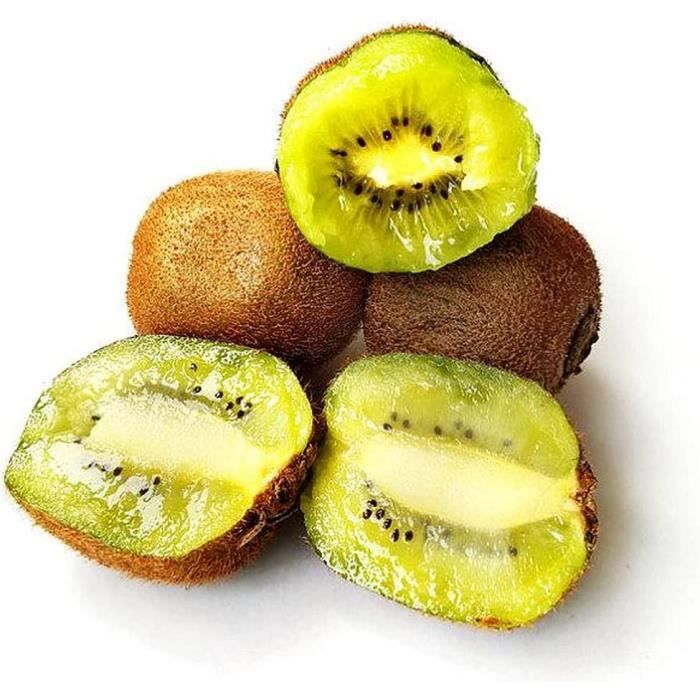 100pcs graines de fruits de kiwi graines de kiwi non OGM graines d ...