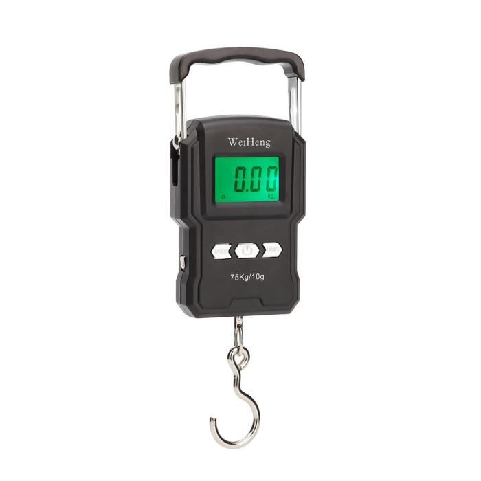 Alimenté par pile - Balance numérique de pêche, 75kg-10g, pesée ...