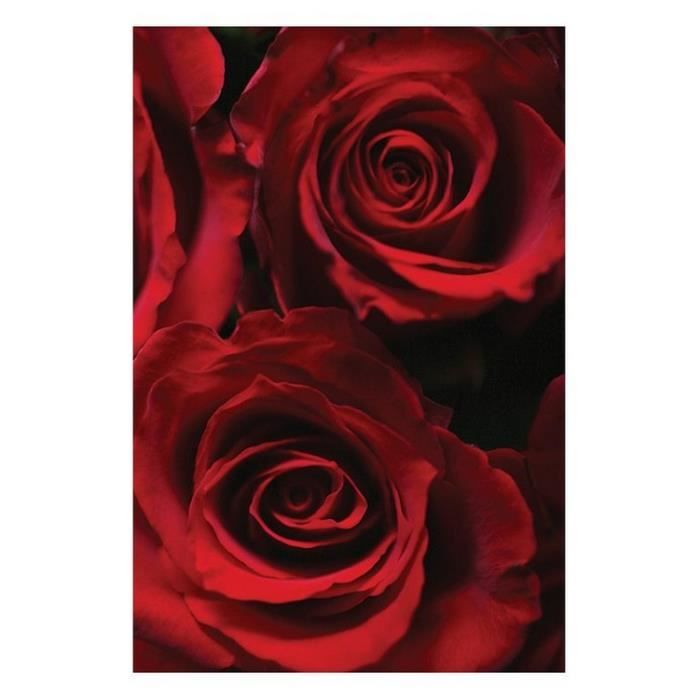 ROSES ROUGES - 61x91,5cm - AFFICHE - POSTER - Cdiscount Maison