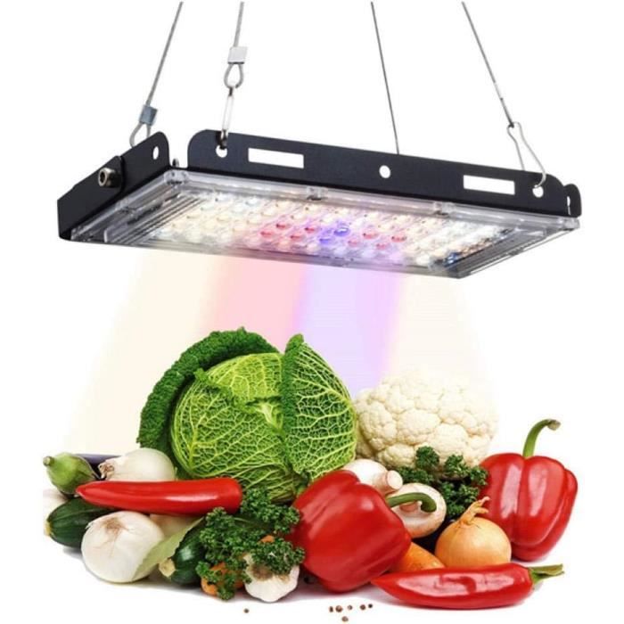 Lampe de croissance - Lumière De Plante - 50W Spectre Complet Led ...