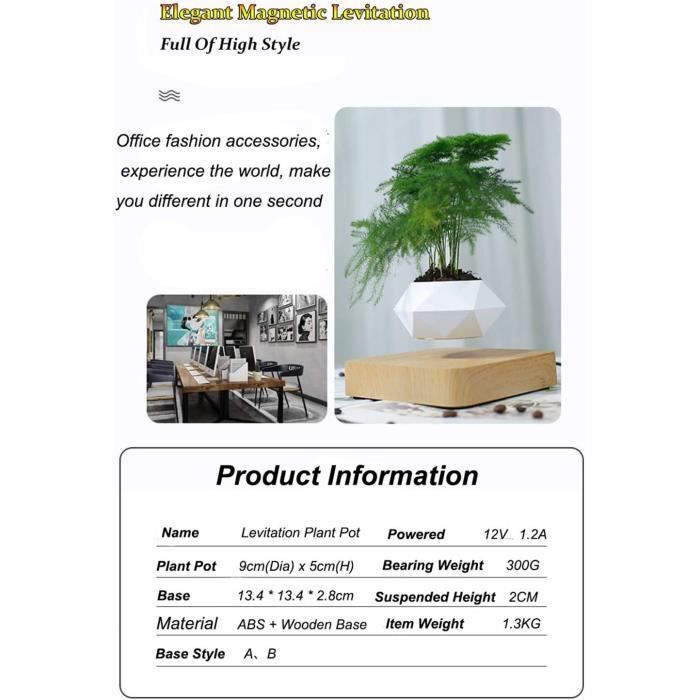 Plante en Lévitation Plante Flottant Air Bonsaï Jardinière de Pot de Fleur de Suspension pour la ...