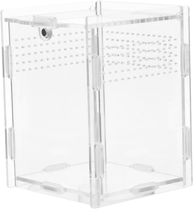 Terrariums Terrarium Dlevage De Lzards Animal Grenouille Terrarium ...