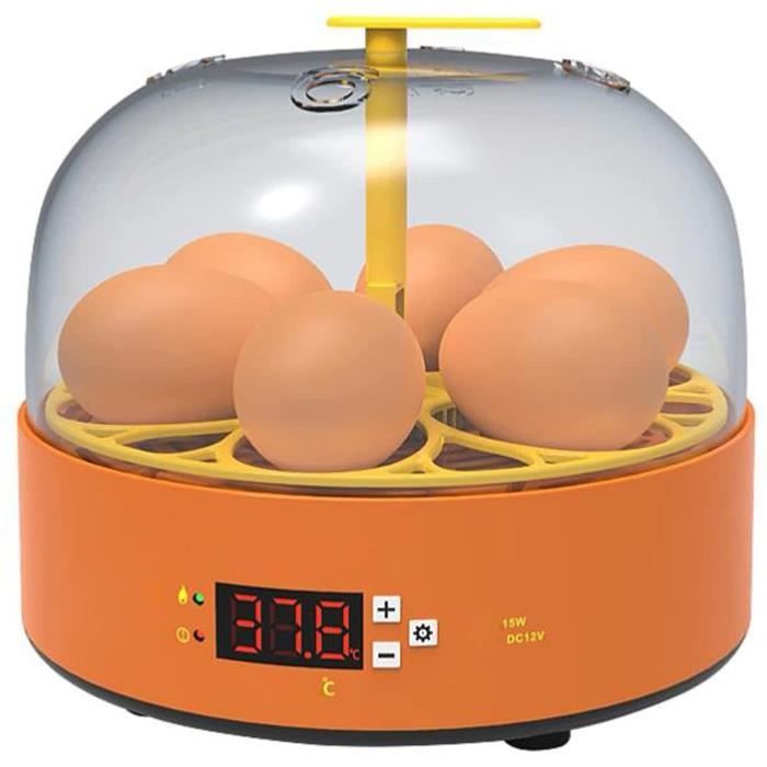 Couveuse Incubateur Incubator Incubateur D'oeufs, 6 oeufs Mini Science ...