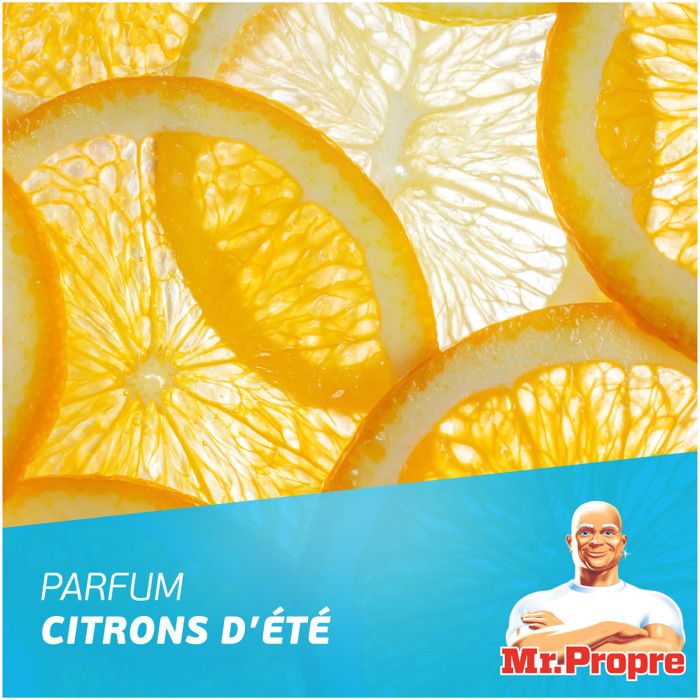 PACK MR PROPRE DILUE 1.5L CITRONS D'ÉT - Cdiscount Au quotidien