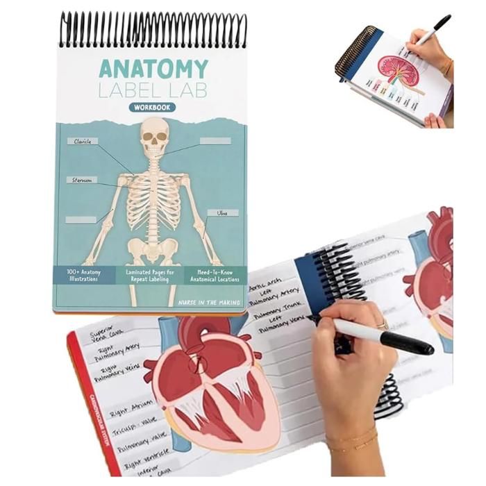 Creative Human Anatomy Busy Book, 100+ Pages Couleur Effaçables, Outils ...