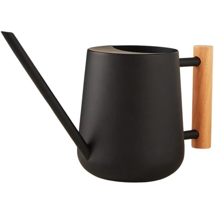 Arrosoir Pour Plantes D'Intérieur 1 L - Petit Arrosoir En Acier ...