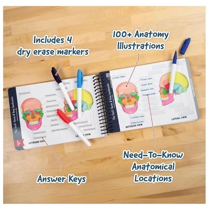 Creative Human Anatomy Busy Book, 100+ Pages Couleur Effaçables, Outils ...