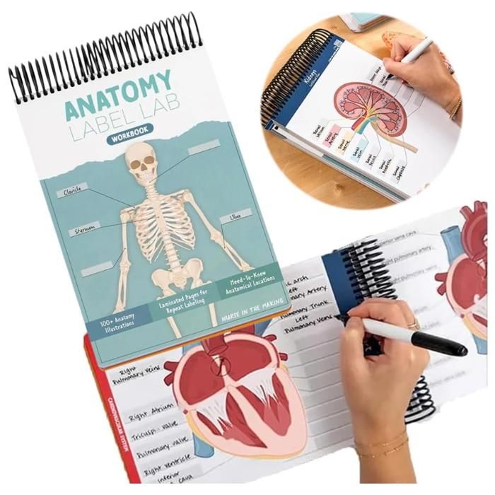 Creative Human Anatomy Busy Book, 100+ Pages Couleur Effaçables, Outils ...