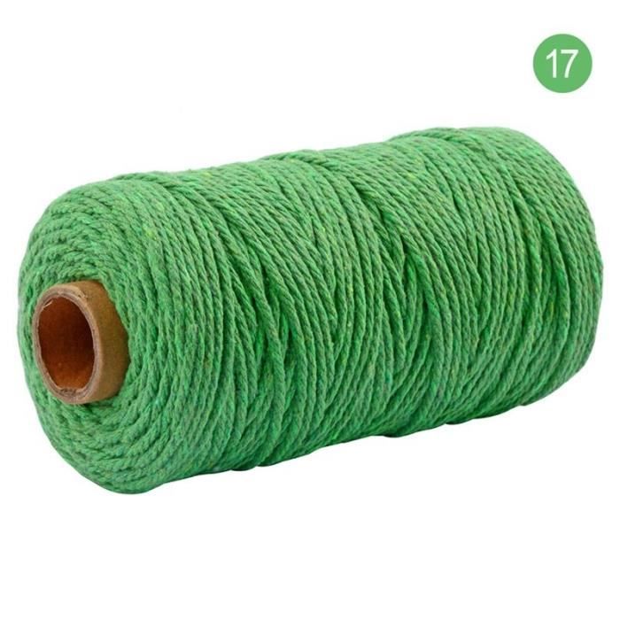 Pelotes de laine,Corde torsadée colorée 100% coton, 3mm, 100 m-rouleau ...