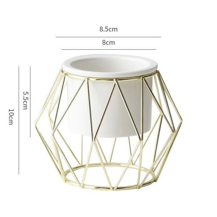 Couleur D Pot de fleurs succulentes en fer forgé, Vase Simple en fer ...