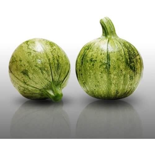 10 Graines-Courgette Ronde De Nice-Idéal Pour Fleurs[x1203] - Cdiscount ...