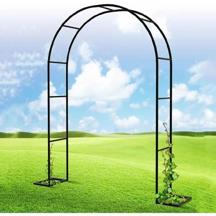 Pergola Pour Plante Grimpante Fer