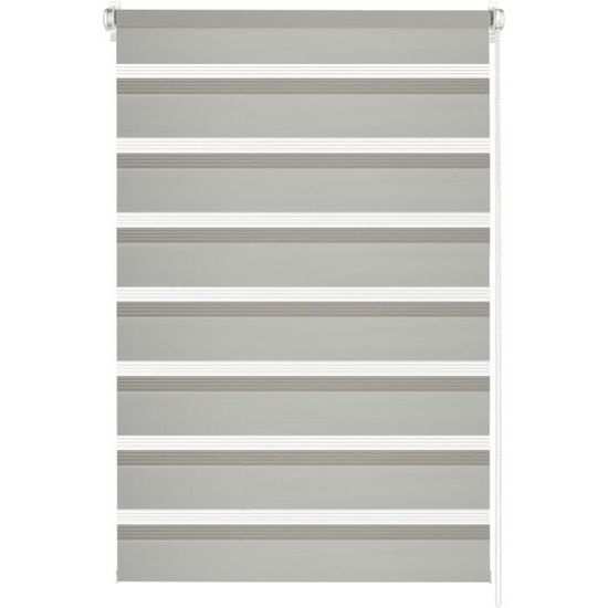 Store Enrouleur Double - GARDINIA - Bandes Transparentes et Opaques ...
