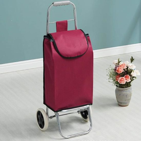 Chariot de Course Pliable à Roulette,2 en 1 Caddie Courses Diable ...