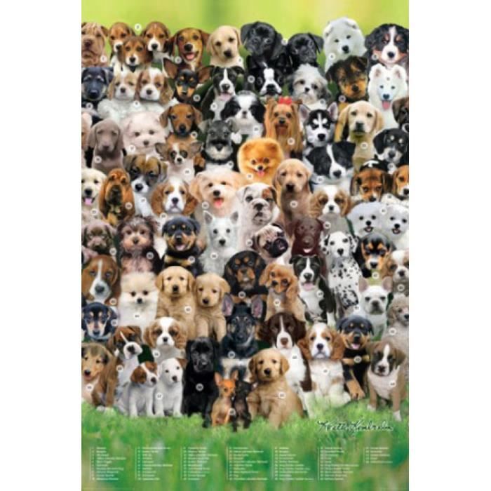 Chiens Poster - Races Diverses, Keith Kimberlin... - Cdiscount Maison