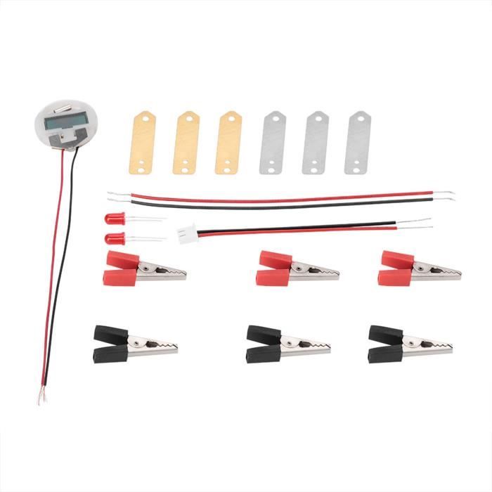 Kit de science bioénergétique WERr enfants Jouets éducatifs amusants ...