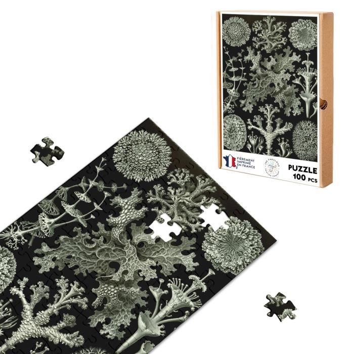Puzzle Classique 100 pièces Planche de Lichen Gravue Ancienne Dessin ...