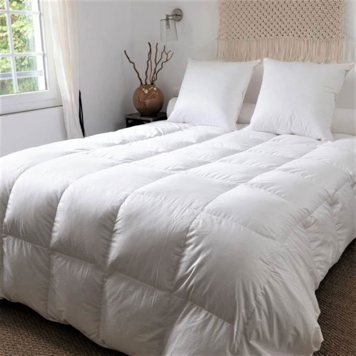 Couette Couple bi-thermique duvet d'oie Castex - 240x220cm - Cdiscount ...