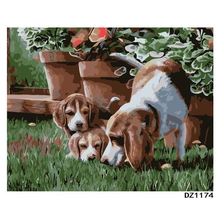 FINE-DIY Peinture au Numero à L'huile sur Toile 40x50cm-16 * 20 Pouces avec kit pour Salon ...