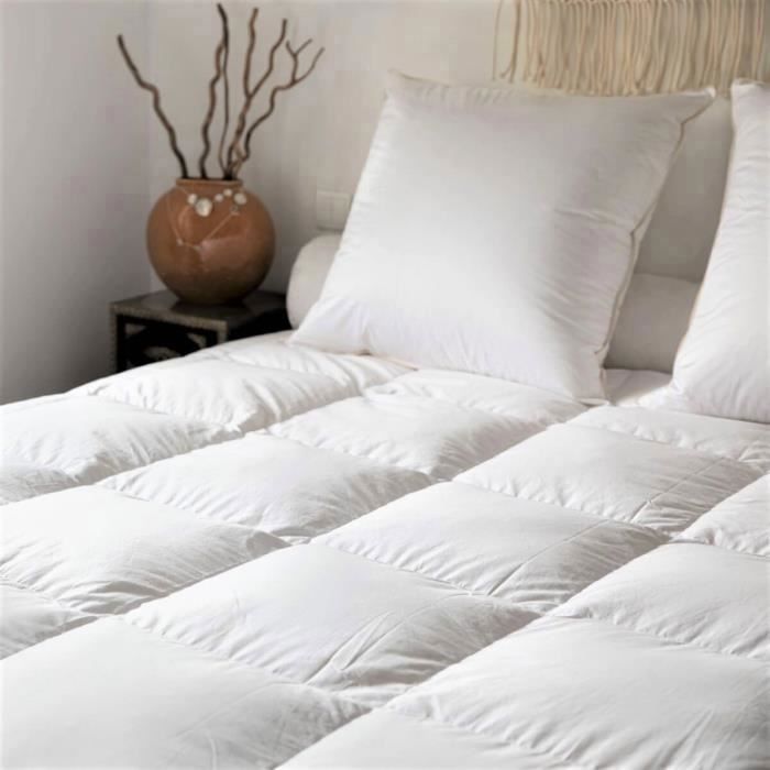 Couette Couple bi-thermique duvet d'oie Castex - 240x220cm - Cdiscount ...