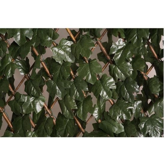 CATRAL Treillis extensible decoratif - 1 x 3m - Cdiscount Jardin