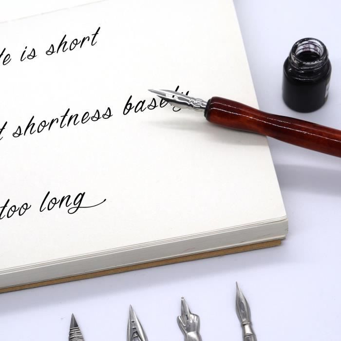 SAL Plumes de calligraphie, set de pointes de plume d'oie, stylo encre ...