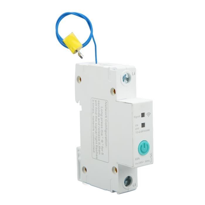VBESTLIFE disjoncteur intelligent Disjoncteur WIFI, APP Control 63A ...