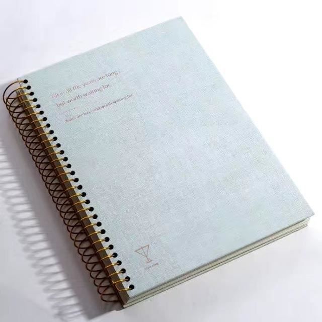 CARNET DE NOTES,D-A4--Classeur à spirale A4, 300 Pages, Kawaii, cahier ...