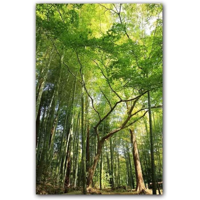 Paysage Moderne Peinture À L'Huile D'Été Forêt Paysage Art Toile ...