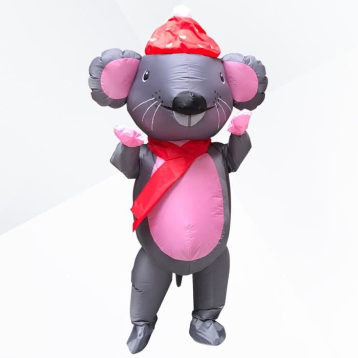 Funny Mouse Inflatable Costume Adult Blow Suit Carnival Fancy Dress Rat ...