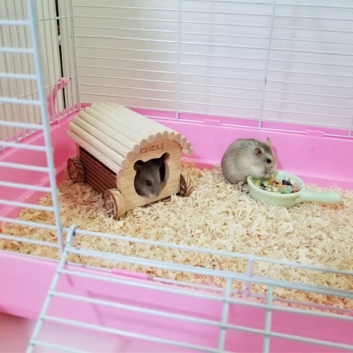 LAMPPE Cage Pico Hamster Hamster Bois Abri Maison Petit Animal Cage ...