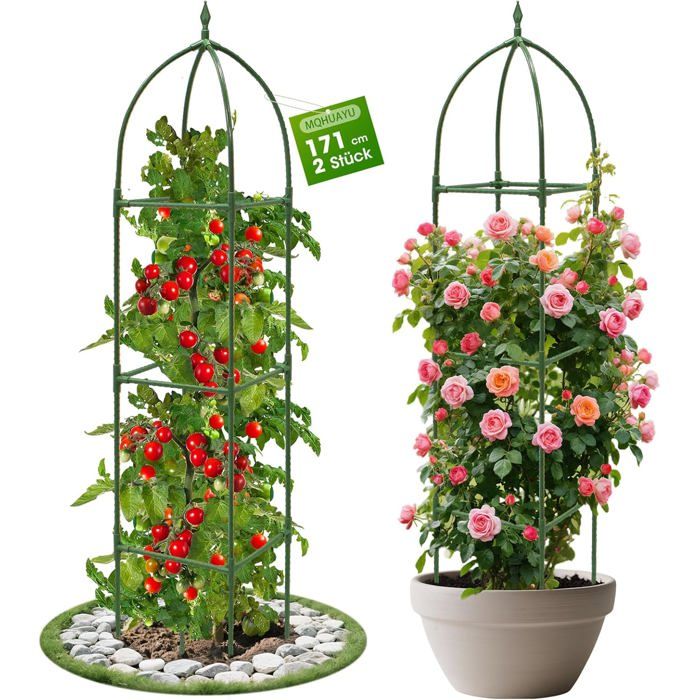 Support Plante Grimpante, 2 pièces 171 cm Tuteur Rosier Grimpant ...