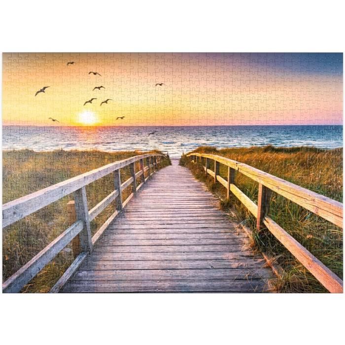 Coucher De Soleil Sur La Plage Des Dunes, Mer Du Nord - Premium 1000 ...