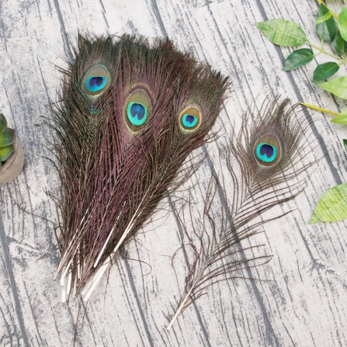 40pcs belles plumes naturelles yeux pour bricolage vêtements décoration ...