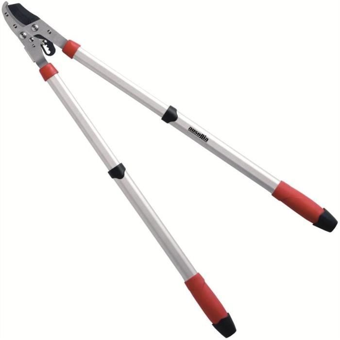 AUSONIA - 35081 EBRANCHEUR CISAILLE COUPE-BRANCHES TéLESCOPIQUE à ...