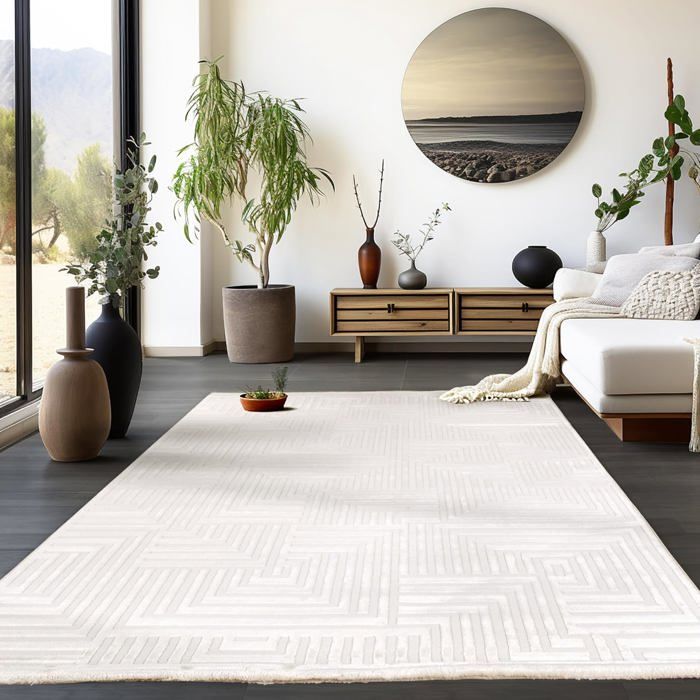 Grand Tapis Salon Moderne Tapis Chambre Tapis Nature 240 X 340 Cm-Tapis ...