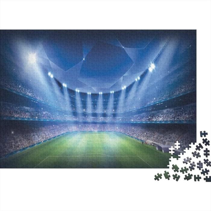 Ball Sports Puzzle En Bois Adulte - Football Pitches Puzzle 1000 Pièces ...