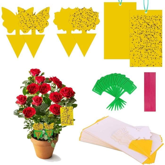 45Pcs Pièges À Insectes, Pièges Engluées Autocollants Colle Double-Face ...