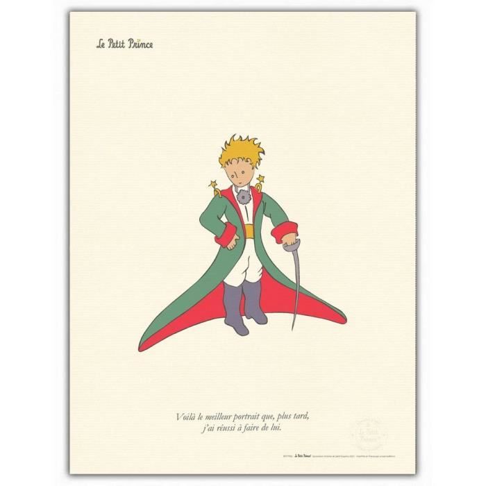 Posters et affiches - Poster affiche d'art Oneart (Le Petit Prince en ...