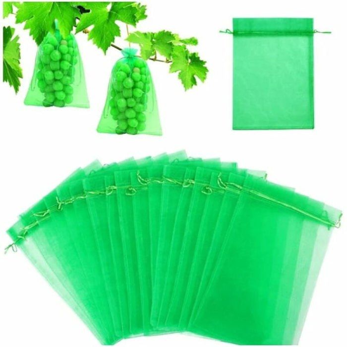 Sachets de protection pour fruits, lot de 100, sachets de protection ...