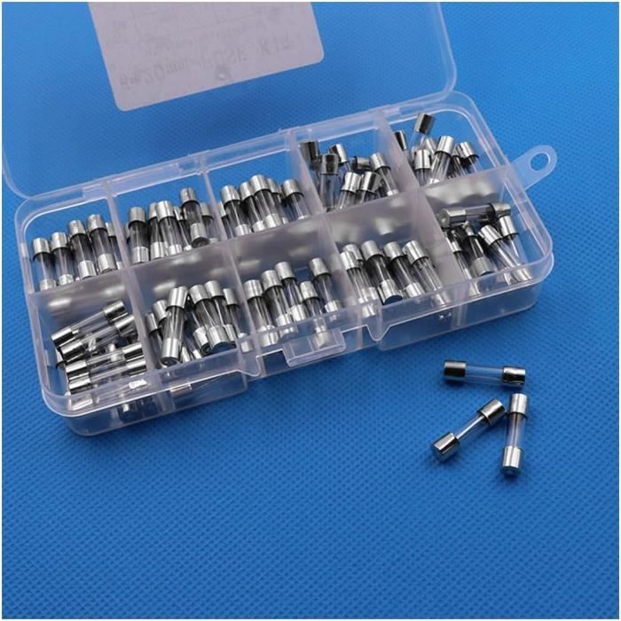 100 Pièces Fusible Tube De Verre, Fusibles Rapides En Verre Fondu, 5X20Mm Fusibles Rapides ...
